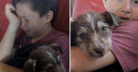 Erano più grandi di me stavano prendendo a calci il cucciolo dovevo fare qualcosa Ha anni ed