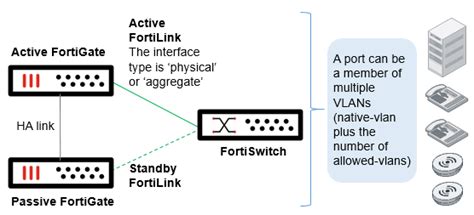 HA Mode FortiGate Units Managing A Single FortiSwitch Unit