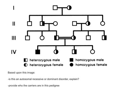 Solved Deterozygous Male Heterozygous Female Based Upon