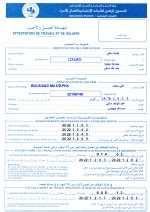 برنامج شهادة العمل و الأجر ATS بلدية سالي