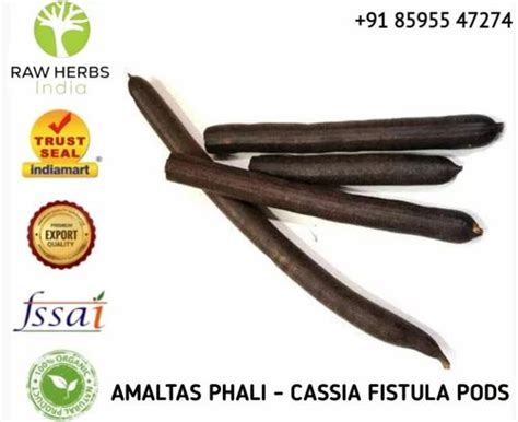 Amaltas Phali Cassia Fistula Pods At Rs 35 Kg Raw Herbs In New