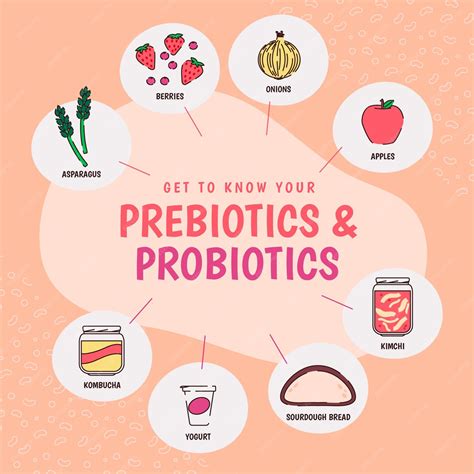 Free Vector Hand Drawn Probiotics And Prebiotics Infographic