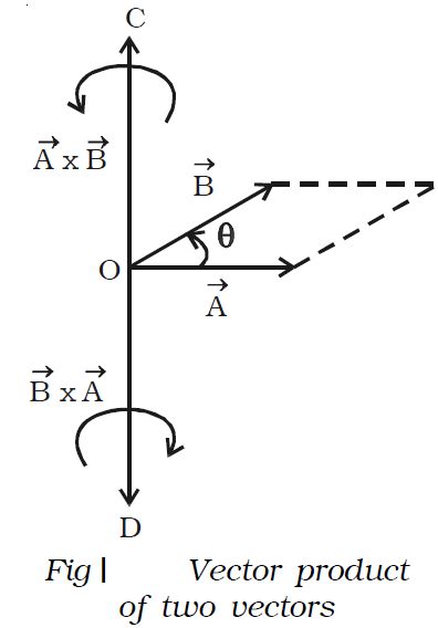Scalar And Vector Quantities Engineersfield