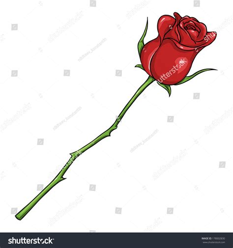 Vector Cartoon Isolated Illustration Red Rose Stock Vector Royalty