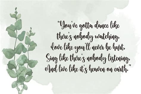 Melodrama Script Font Design Cuts