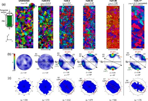 A Aita Analyses Of Tangential Sections For Every Sample Showing The