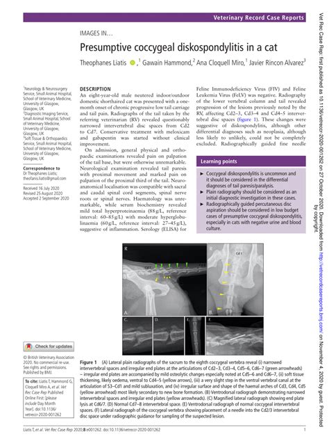 Pdf Presumptive Coccygeal Discospondylitis In A Cat