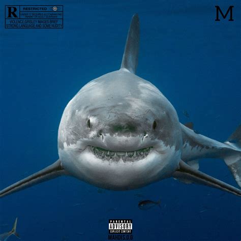 آلبوم های رپ فارسی از تمامی نسل ها پرایمی