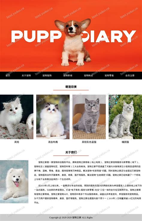Html网页设计与制作期末作业模板成品源码下载宠物之家宠物、猫咪、狗狗主题