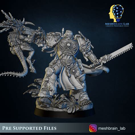 🛰 Imperial Marine Commander Vs Swarm Warrior・ 3d File For 3d Printing・cults