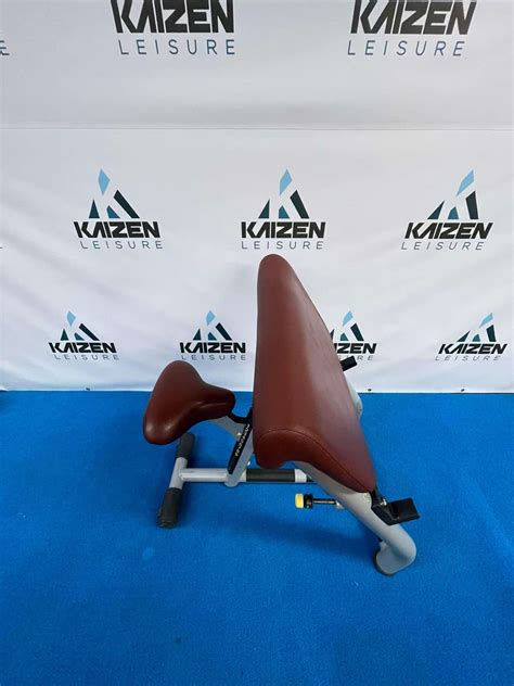 Technogym Selection Line Scotts Bench Preacher Curl Bench Gym