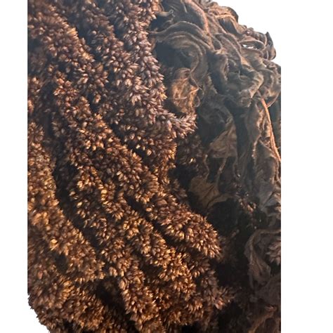Preserved Dark Brown Amaranthus Preservedusa