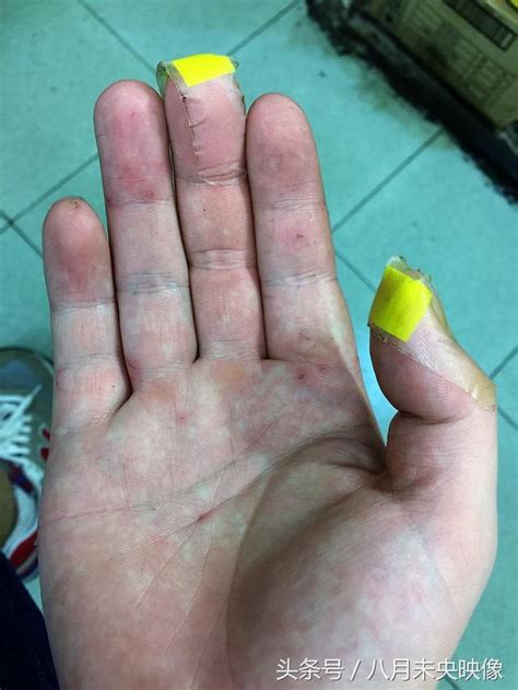 秋風起，蟹腳癢，海邊抓野生青蟹，好玩又好吃 每日頭條