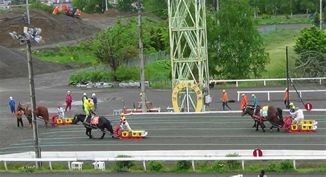 5つの2歳新馬戦を振り返ります。 ばんブロ（ばんえいスタジオのブログ） 楽天ブログ