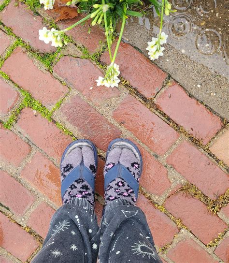 My Feet Smell Better Than The Flowers Rfootsniffing
