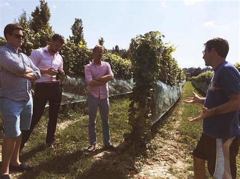 Barolo Wine Tour Amanda S Wine Adventures
