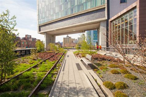 Urban Park Design
