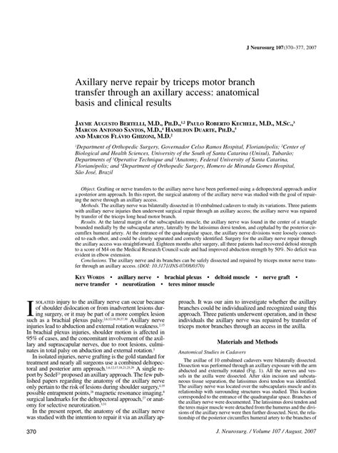 Pdf Axillary Nerve Repair By Triceps Motor Branch Transfer Through An