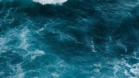 Wild Ocean Wallpapers Wallpaper Cave
