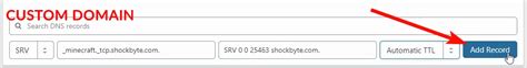 Creating A Custom Server IP With Cloudflare Shockbyte