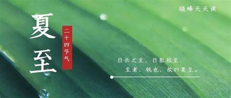 今日夏至丨盛夏如约而至 资料 时节 李靖海