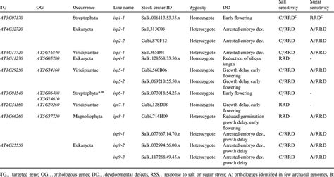 Properties Of T Dna Insertion Lines Affecting Rrna Processing