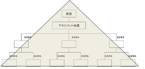 ピラミッド階層型組織 ヒューマンコンフィデンスジャパン株式会社