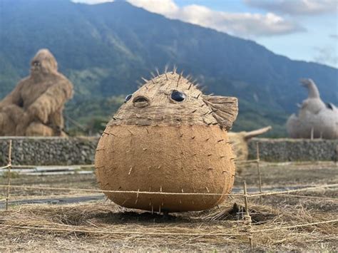 花蓮富里稻草藝術季登場！巨型大猩猩回歸 13稻草藝術打造海底世界 Ettoday旅遊雲 Ettoday新聞雲