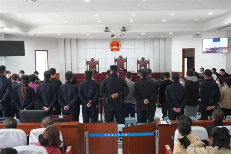 以案普法白酒造假太猖狂洪洞法院公开审理13人制售假酒案 澎湃号政务 澎湃新闻 The Paper