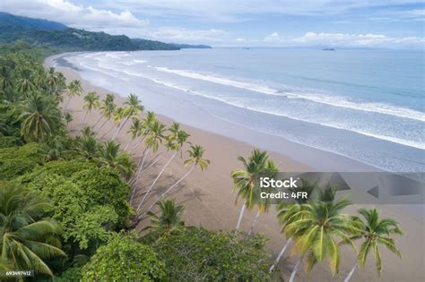 Uvita 비치 마 리노 Ballena 국립 공원 코스타리카 코스타리카에 대한 스톡 사진 및 기타 이미지 코스타리카 해변