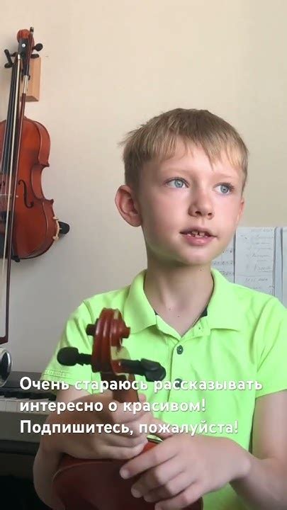Почему паук выходит на звук скрипки Violin 10фактов Ourfirstvideo