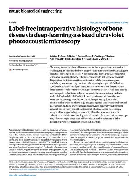 Lf Deep Learning Enabled Bone Tissue Analysis Pdf Microscopy Medical Imaging