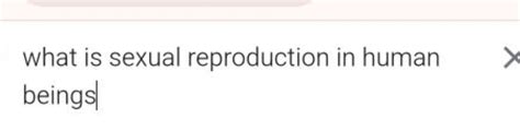 What Is Sexual Reproduction In Human Beings Filo