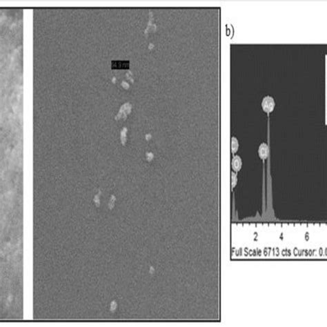 Scanning Electron Microscopy Sem Image Of Biosynthesized Agnps A
