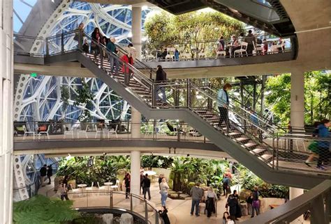 Amazon Spheres A Floresta Da Amazon No Centro De Seattle Visite Seattle