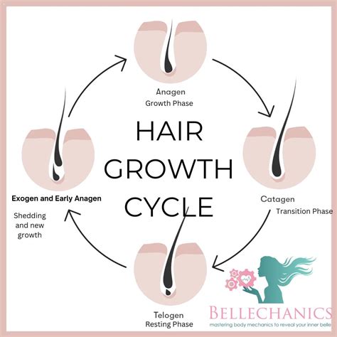 Zinc Deficiency Hair Loss How To Test For It At Home
