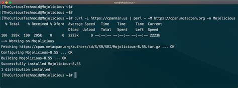 Mojolicious Hello World With Mojoliciouslite The Curious Technoid
