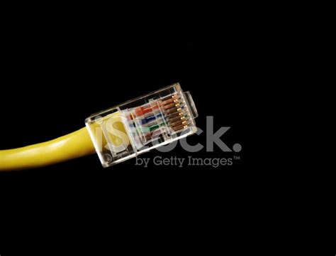 Foto De Stock Conectores Ethernet Libre De Derechos FreeImages