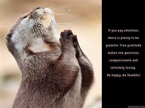 Grateful Memes Funny Gratitude Meme S Bzlu