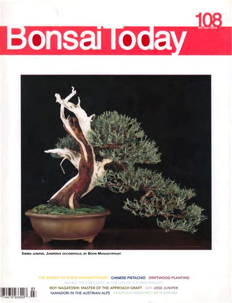 Bonsai Today Bonsai Today