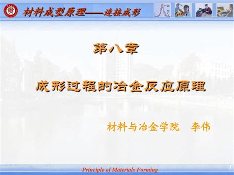第8章 成形过程的冶金反应原理word文档在线阅读与下载无忧文档