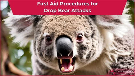 How Do Drop Bears Attack