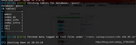Sqlmap常用命令总结及注入实战（access、mysql） Csdn博客