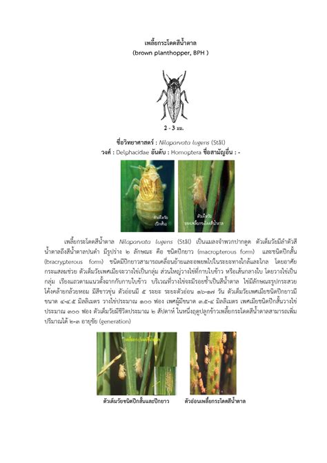 สำนักงานเกษตรอ สำนักงานเกษตรอำเภอครบุรี จังหวัดนครราชสีมา