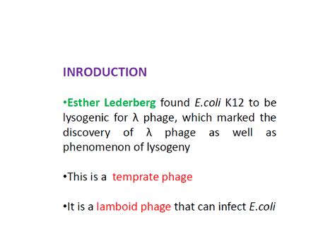 SOLUTION Bacteriophage Lambda Vectors Complete Guide Prsentation Studypool