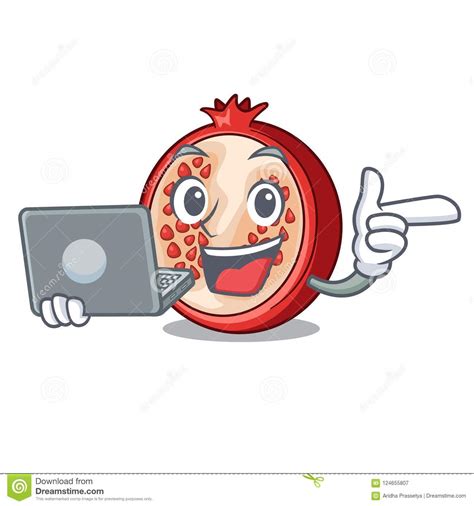 With Laptop Pomegranate Slice Isolated On Character Cartoon Stock