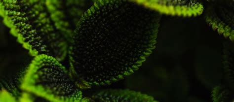 2024 Sapphire Esg Framework And Report