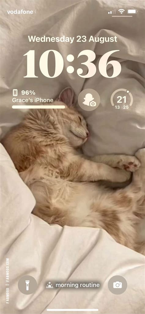 15 Cute Iphone Home Screen Ideas Cozy Cat 1 Fab Mood Wedding
