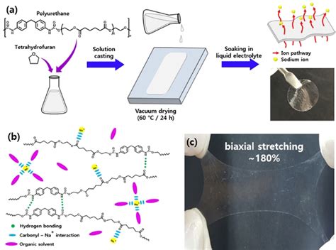A Schematic Of The Preparation Of Pu‐based Gel Polymer Electrolyte Download Scientific