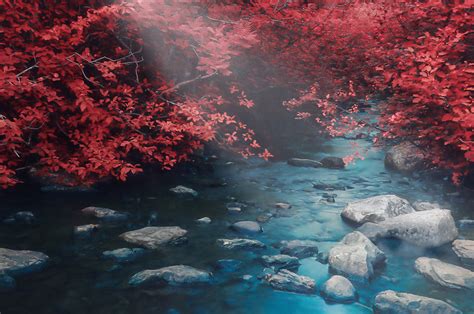 Crimson Forest By Streamweb On Deviantart